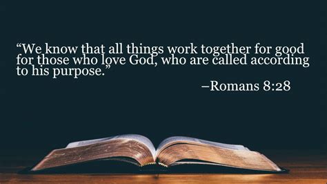 Your Daily Bible Verses — Romans 828 Catholic Cr