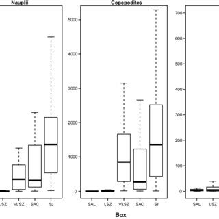 Box Plots Showing The Variability In P Forbesi Densities Across Boxes