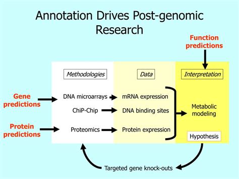 Ppt Automated Annotation Of Microbial Genomes Opportunities And