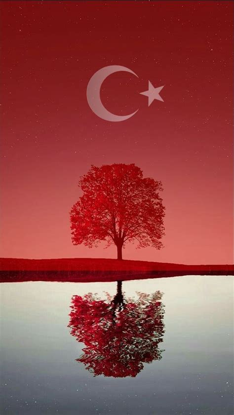 Türkiye Ağaçlı Manzara Resmi Konteynır Evler Dünya Tarihi Galaksi Duvar Kağıdı