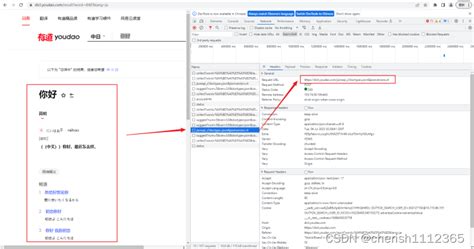 【python爬虫】有道翻译2023新版 爬取有道翻译 csdn博客