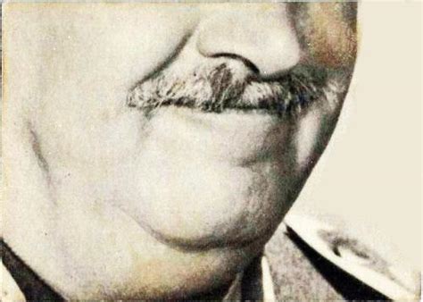 1965 Fleer Hogans Heroes 59 What Do You Mean Lillies For Col Klink Lets Get Poison Ivy