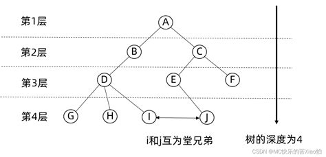 c 提高1树 树根c CSDN博客