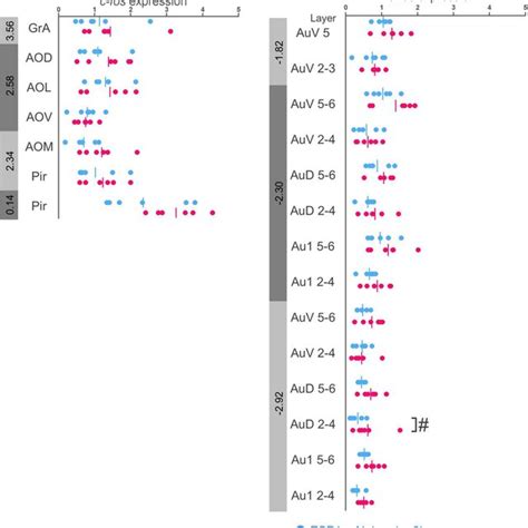 Expression Levels Of C Fos MRNA In The Olfactory A And Auditory B