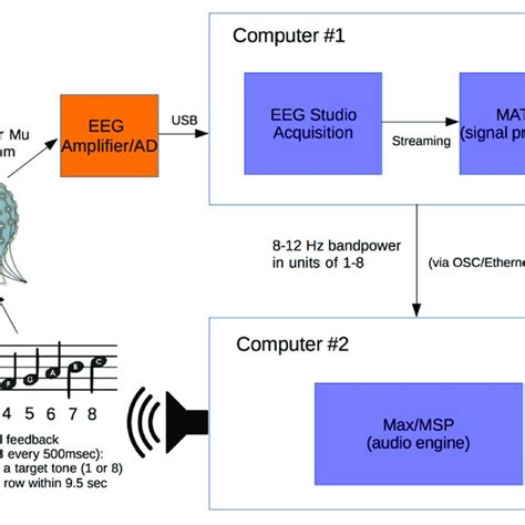 Experimental Setup Electroencephalogram Eeg Signal From Subject Download Scientific
