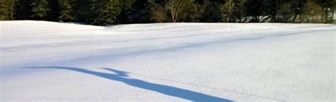 Smiling Hill Farm Westbrook Maine By Foot