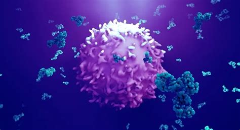 What Is Antigen Sly Academy