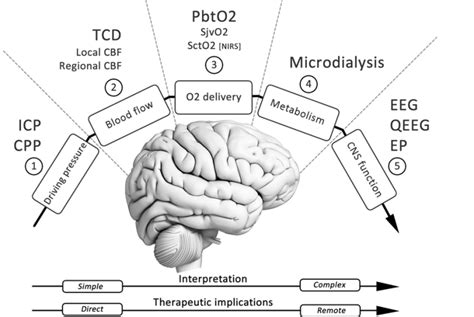 Multimodality Monitoring In Neurocritical Care Peripheral Brain