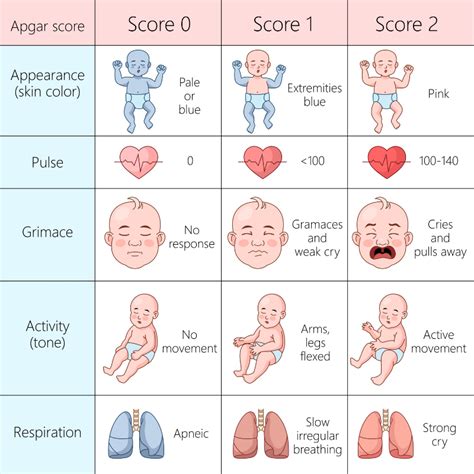 Newborn Assessment
