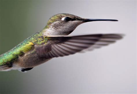 Understanding Shutter Speed For Beginners Photography ATX Fine Arts