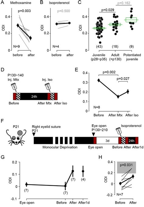 Pull Push Neuromodulation Of Cortical Plasticity Enables Rapid Bi Directional Shifts In Ocular