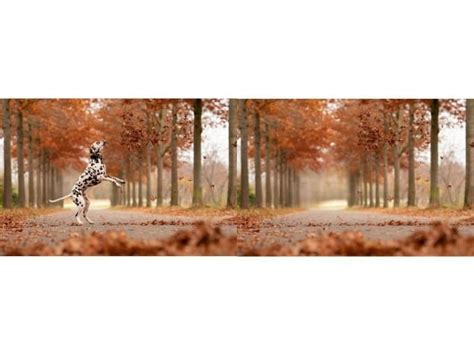 Add Or Remove Thing From Photo By Alperaslan272 Fiverr