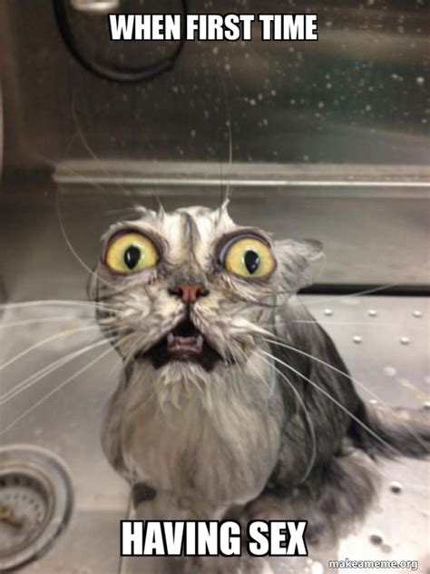 When First Time Having Sex Cat Bath Meme Generator