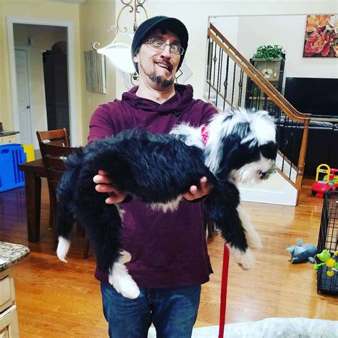 Fgteev Duddy Age Height Net Worth Wife Bio Facts Wiki