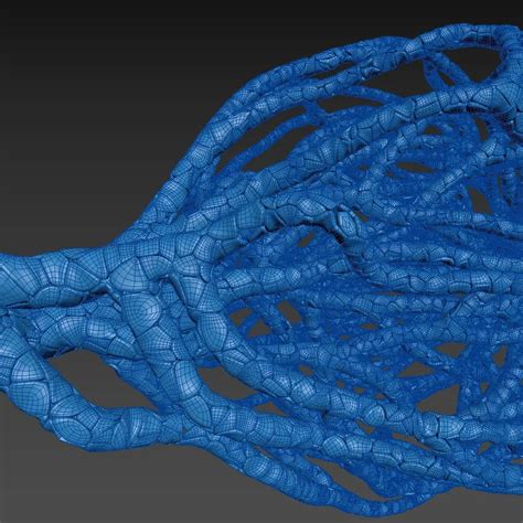 Blood Vessel Anatomy Capillary Flippednormals