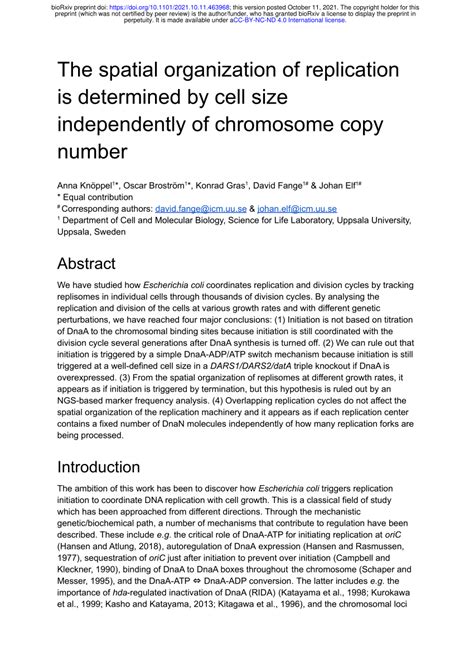 Pdf The Spatial Organization Of Replication Is Determined By Cell Size Independently Of