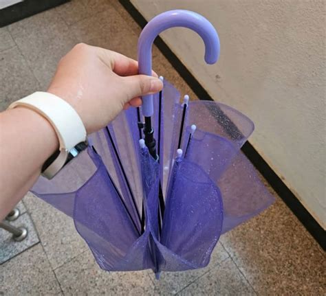 평생 살면서 이런 일은 처음 겪어봐” 특별한 ‘보라색 우산뭐길래