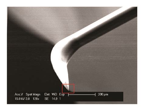 A SEM Image Of The Al Coated Bent Fiber Tip B SEM Image Of The Tip Download Scientific