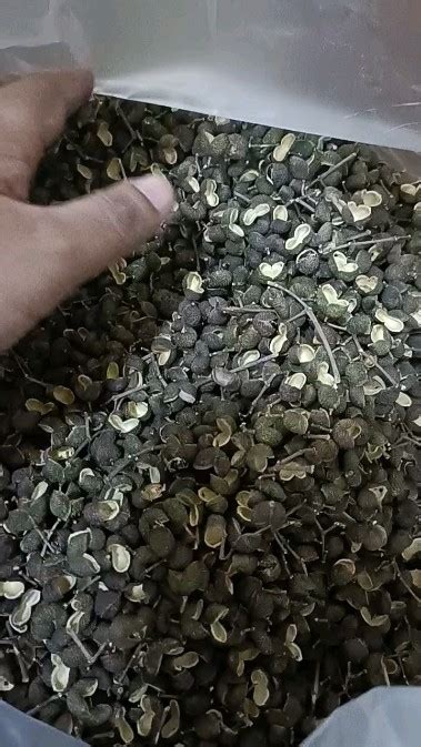 Kanekar Kaju Center Kanekarkajucenter • Instagram Photos And Videos
