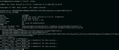 Install Oracle Database 12c On Opensuse 132 Unixmen