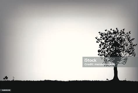 Tree Silhouette向量圖形及更多側影圖片 側影 卡通 大自然 Istock