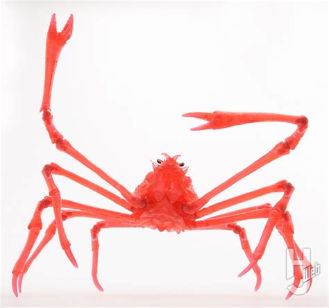 Hobby Japan Web