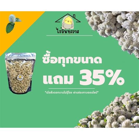 ดอกบาน ไม่รู้โรยป่า อบแห้ง ขนาด 100 50 40g แถม 35 Shopee Thailand