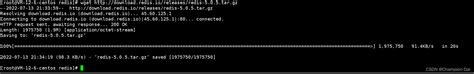 Centos安装Redis CSDN博客