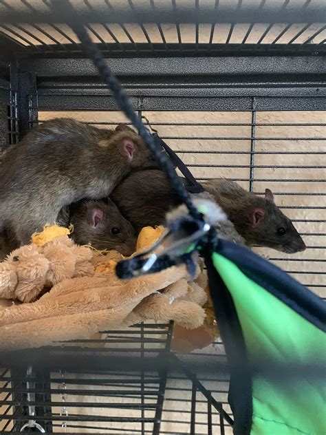 Bit Of A Jigsaw Going On Scrolller