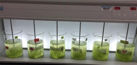 Flocculation Process Download Scientific Diagram