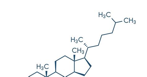 Cholesterol Podcast Chemistry World