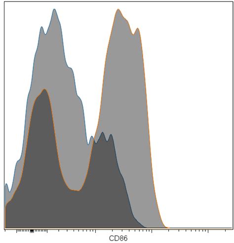 Cd86 To Measure Dendritic Cell Activation Biocompare Antibody Review