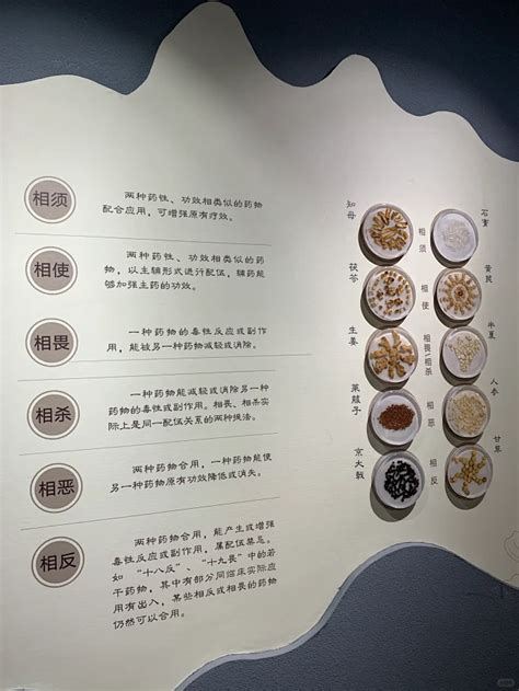 关于我在中医药博物馆拍到的养生知识 花瓣网
