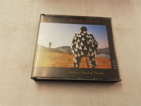 Pink Floyd Delicate Sound Of Thunder Live 2 Cds Kaufen Auf Ricardo