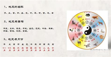 五行代表土的图片五行属土的招财图五行属土的吉祥图片第5页大山谷图库