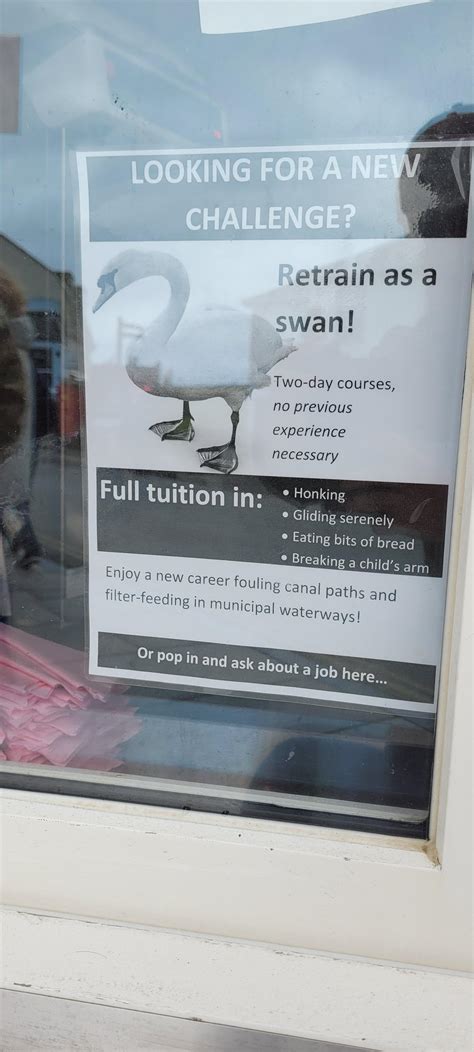 2215 Best Cornwall Images On Pholder Casual Uk Interestingasfuck And