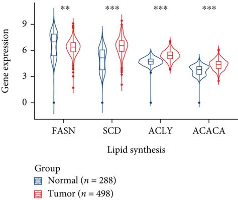 The Functional Enrichment Analysis Of 191 Degs A B Go Enrichment