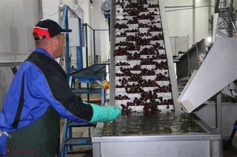 LISTA fermierilor din R Moldova premiați de Ziua Agricultorului