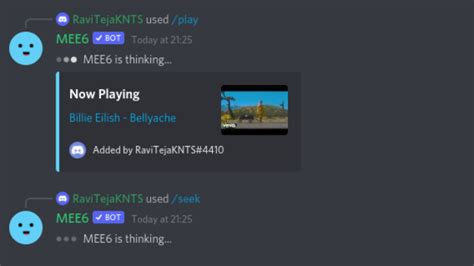 Best MEE Bot Commands List For Power Discord Users TechWiser