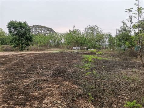 ขายที่ดิน 5ไร่ 2 งาน 2โฉนด