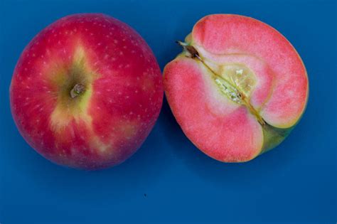 전체와 반으로 자른 Kissabel 사과는 네이비 배경에 하트 모양의 그릇에 있습니다 숨겨진 장미 사과 사과 안쪽에 분홍색 0명에 대한 스톡 사진 및 기타 이미지 Istock