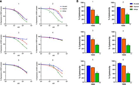 Asoptimizer Optimizing Antisense Oligonucleotides Through Deep Learning For Ido1 Gene