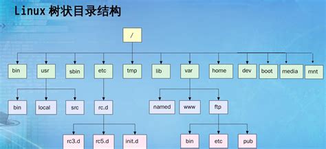 LINUX学习之了解系统目录结构 一 亨利其实很坏 博客园