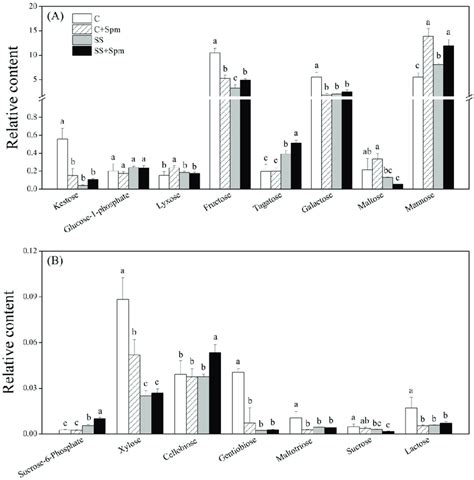 Effects Of Exogenous Application Of Spermine Spm On A And B Amino