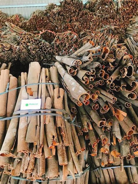 Phalco Vietnam Spices Jsc On Linkedin Cassia Star Anise New Crops Our