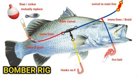 Jarang Yang Tahu Ini Adalah Teknik Terbaik Untuk MANCING Pinggiran