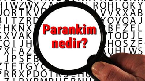 Parankim Nedir Ve Parankim Ekosu Ne Demek Parankimal Nodül Nedir Ve