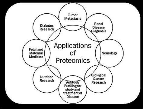 Application Of Proteomics Download Scientific Diagram