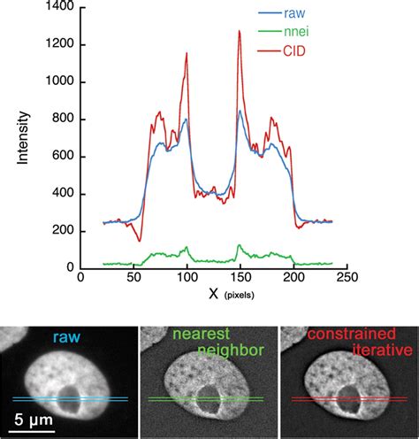 Methods For Imaging Thick Specimens Confocal Microscopy Deconvolution And Structured Illumination