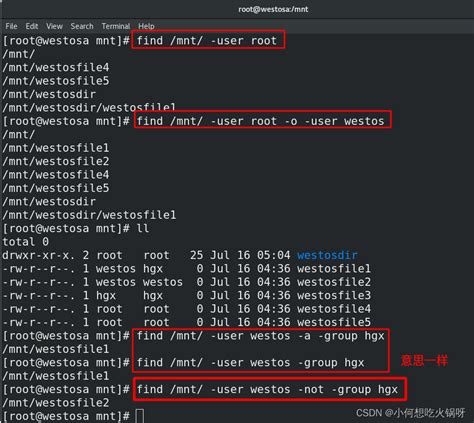 复习之linux存储的基本管理 Csdn博客